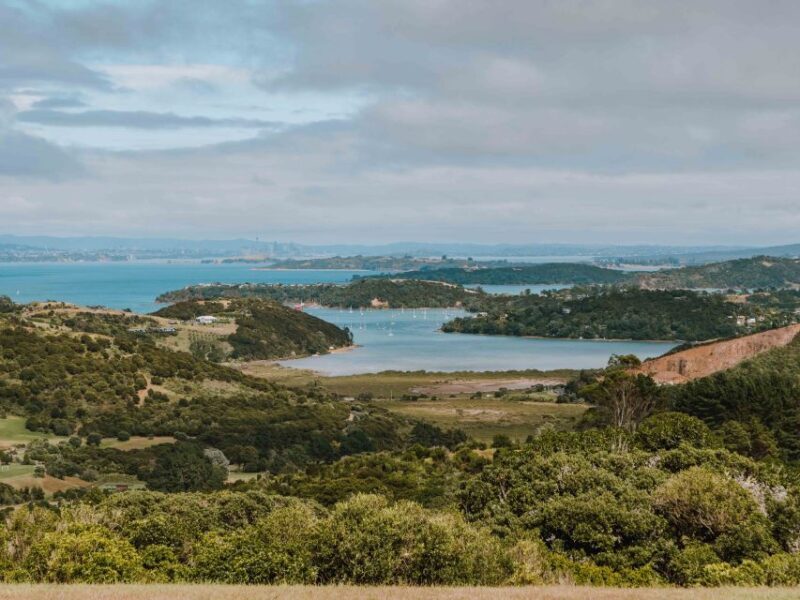 Waiheke Island: Wine Tour & Lunch at Award Winning Venue - Final Thoughts