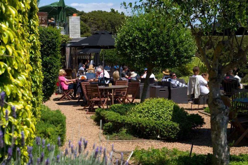 Waiheke Island Wine Tours - PREMIUM Wines - Max 11 clients ! - Key Points