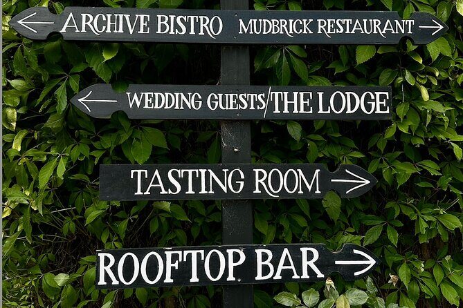 Waiheke island wine tours with Waitiki Tours - The Sum Up