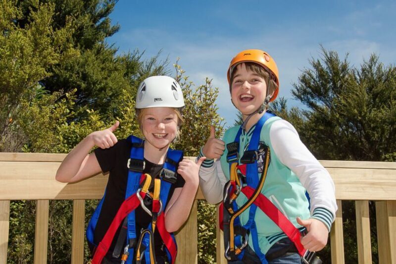 Waiheke Island: Zipline and Native Forest Adventure Trip - Introduction: Why This Tour Might Be Your Next Waiheke Adventure