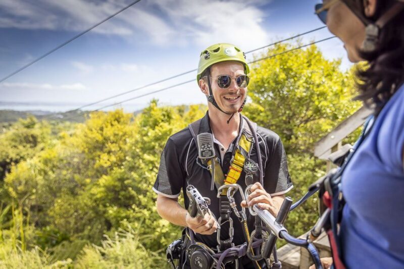 Waiheke Island: Zipline and Native Forest Adventure Trip - Who Will Love This?