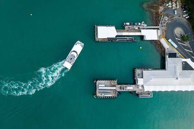 Waiheke Reserve Ferry Service from Waiheke Island - Practical Considerations