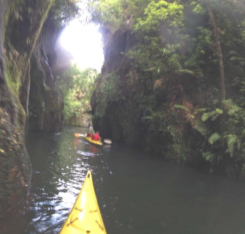 Waikato River: Glowworm Kayak Tour with Wine & Snacks - Practical Details: What to Expect and What to Bring