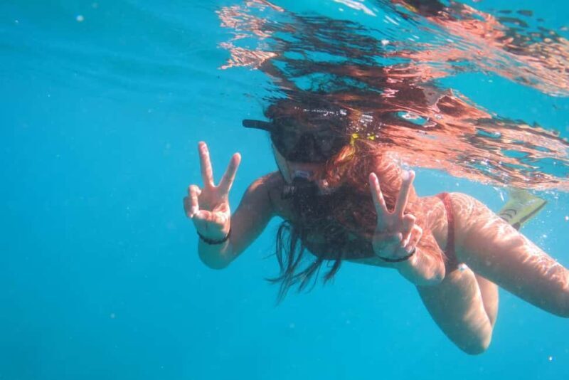Waikiki: AM Paradise Honu Snorkeling - Who Would Love This Experience?