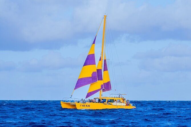 Waikiki Beach Sunset Sail - Final Thoughts: Who Should Consider This Tour?