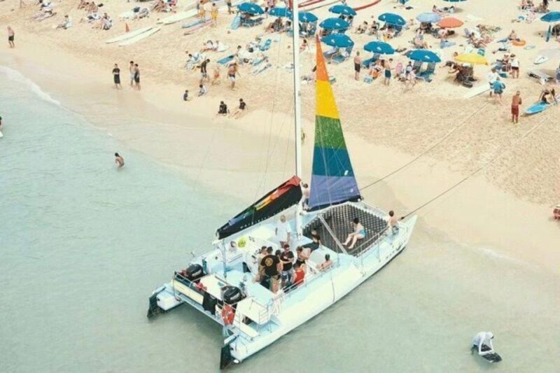 Waikiki Beach: Turtle Snorkeling and Sailing on Hwea - Final Thoughts: Is This Tour Right for You?