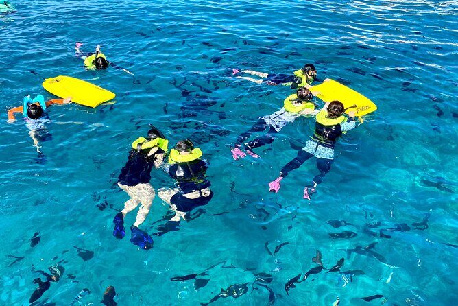 Waikiki Catamaran Escape: Snorkel with Turtles & Water Sports Fun - Customer Service and Reviews