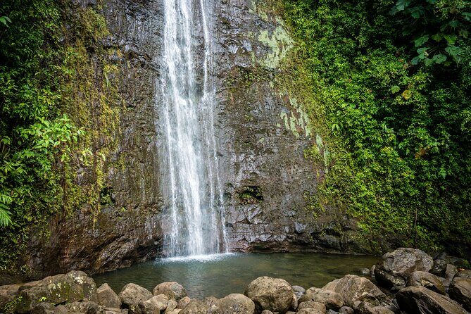 Waikiki Electric Bike Self Guided Tour- Manoa Falls Bike and Hike - Key Points
