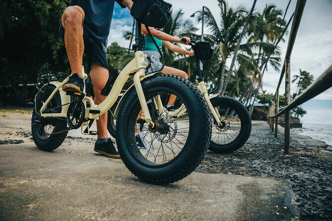 Waikiki Electric Bike Self Guided Tour- Manoa Falls Bike and Hike - Authentic Insights from Past Participants
