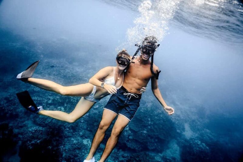 Waikiki Exclusive Snorkel + Lunch - Key Points