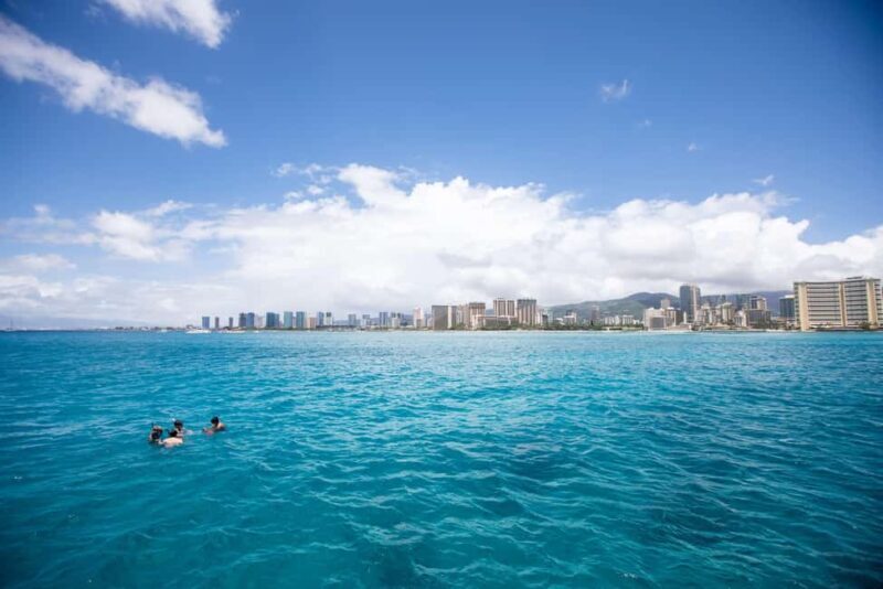 Waikiki Exclusive Snorkel + Lunch - Is It Worth the Price?