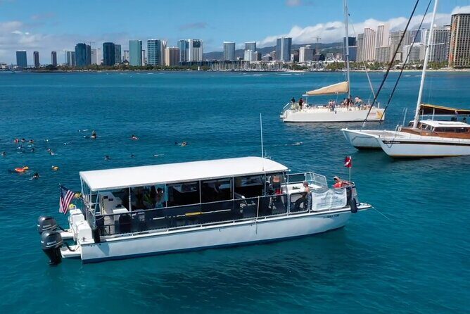 Waikiki Green Sea Turtle Snorkeling Tour - Boat Excursion - Who Will Love This Tour?