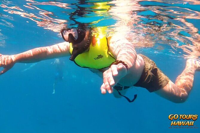 Waikiki Green Sea Turtle Snorkeling Tour - Boat Excursion - FAQs