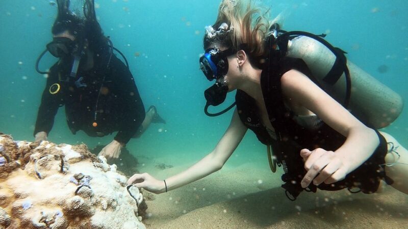 Waikiki: Honolulu Beginner Scuba Diving with Videos - Key Points