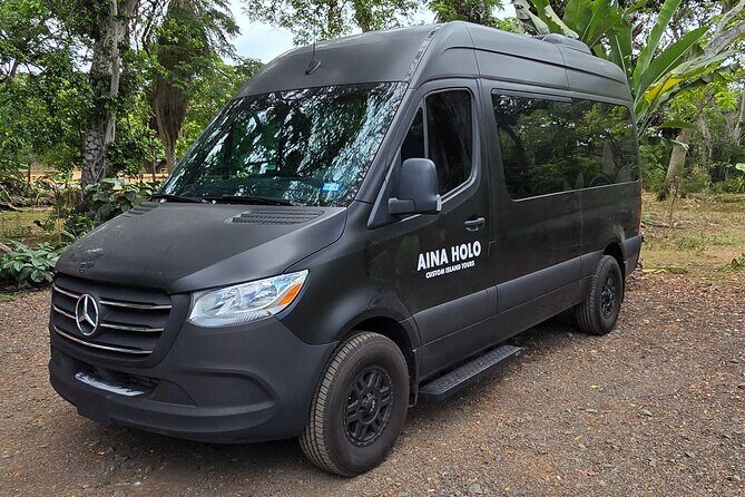 Waikiki Honolulu Private Airport Transfer Up to 10 Guests - FAQs