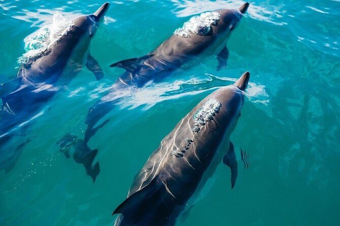 Waikiki Sail and Snorkel Adventure Best of Hawaii - The Sum Up