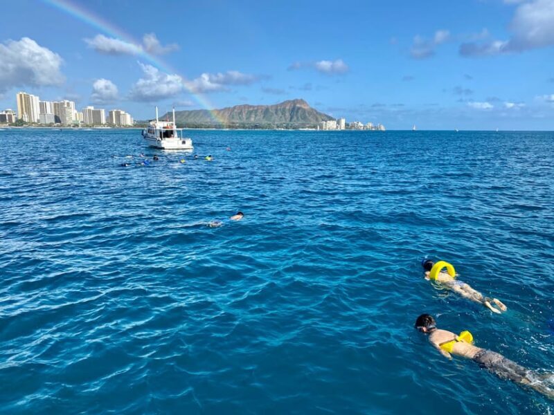 Waikiki: Sea Turtle Snorkeling, Small Group Boat Tour - The Sum Up — Why This Tour Excels