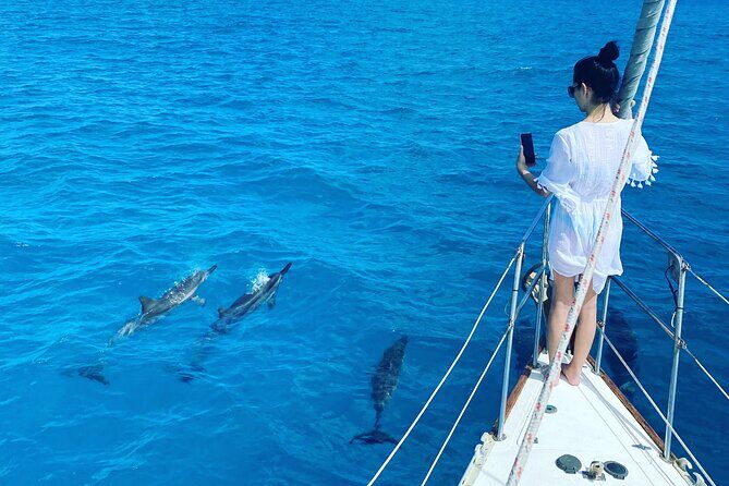 Waikiki small group turtle snorkeling & sailing - What Makes This Tour Stand Out?