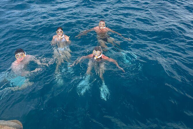 Waikiki small group turtle snorkeling & sailing - Genuine Guest Experiences