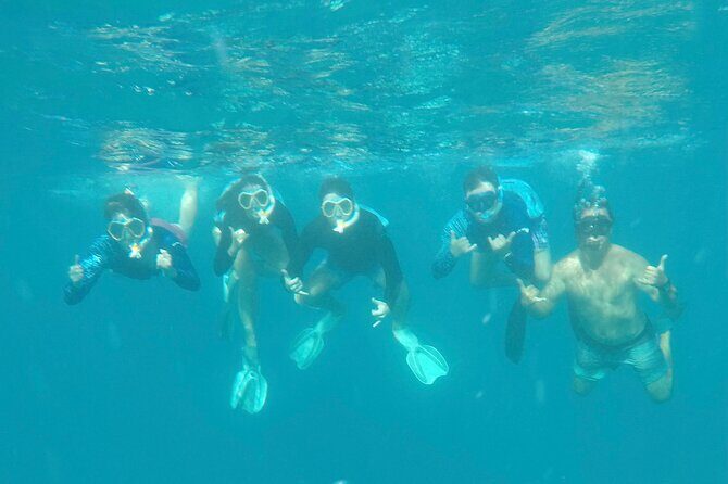 Waikiki small group turtle snorkeling & sailing - How Does It Value?