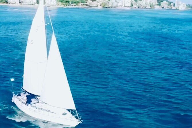 Waikiki small group turtle snorkeling & sailing - Who Is This Tour Best For?