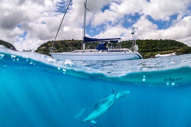 Waikiki small group turtle snorkeling & sailing - Final Thoughts