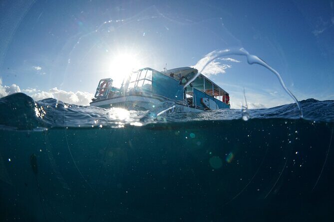 Waikiki Snorkel Tour - The Sum Up: Worth It for a Taste of Hawaii’s Underwater Charm