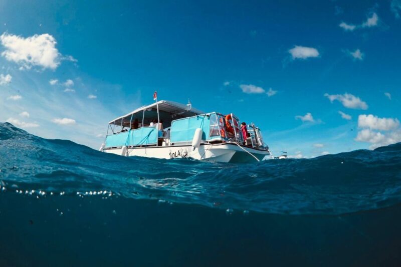 Waikiki: Snorkel Tour with Hawaiian Green Sea Turtles - Practical Tips for Your Trip