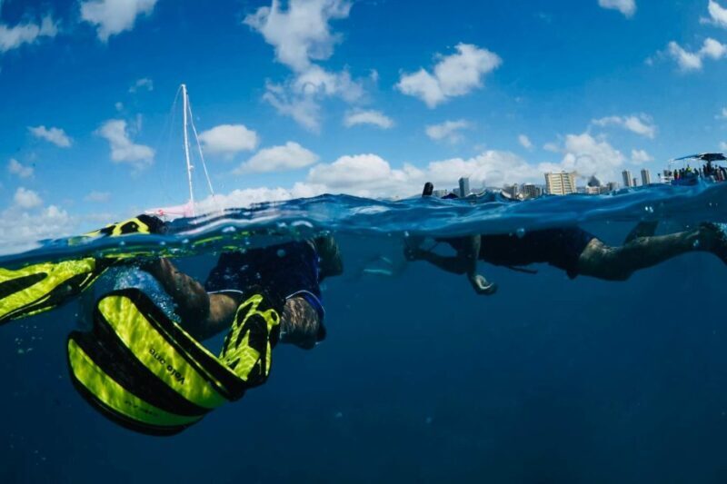 Waikiki: Snorkel Tour with Hawaiian Green Sea Turtles - Who Should Consider This Tour?