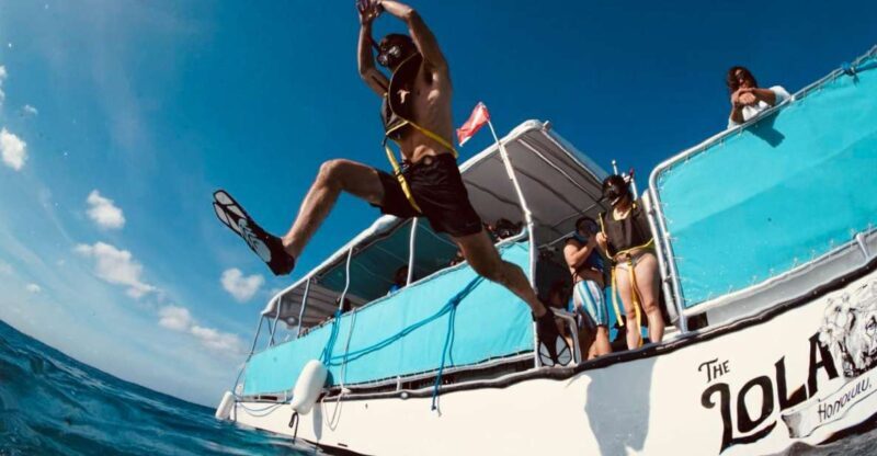 Waikiki: Snorkel Tour with Hawaiian Green Sea Turtles - Final Thoughts