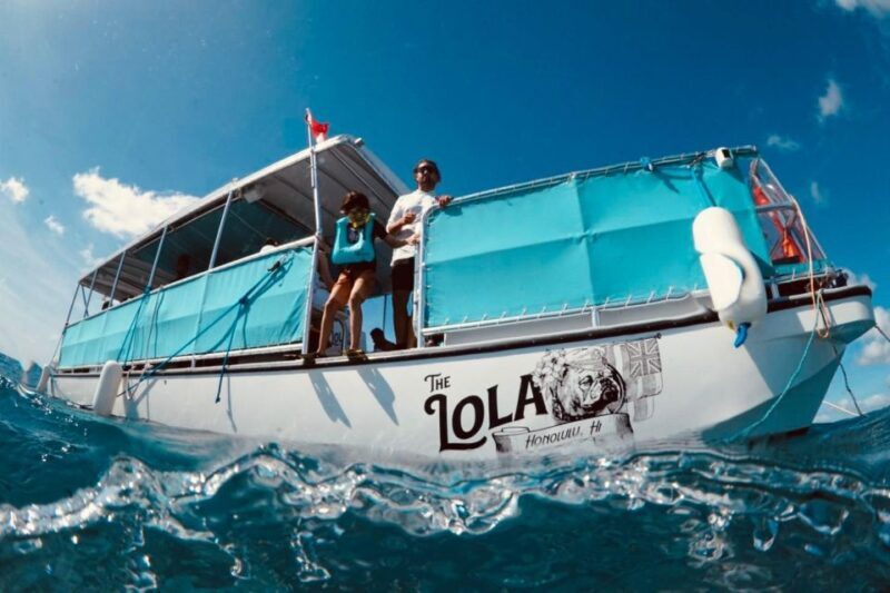Waikiki: Snorkel Tour with Hawaiian Green Sea Turtles - FAQ