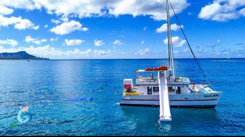 Waikiki Snorkeling and Ocean Waterpark Adventure - Who Will Love This Tour?