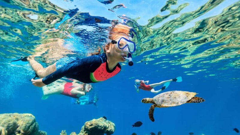 Waikiki: Snorkeling & Ocean Playground Experience - Value and Practical Considerations