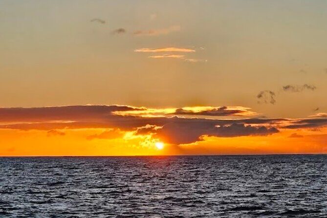Waikiki Sunset Cruise and Iconic Views with Swimming - What Makes This Tour Stand Out?
