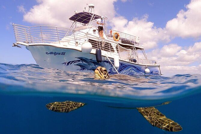 Waikiki Turtle Canyon Snorkeling with Hula Show - Authentic Reviews: What Past Travelers Say