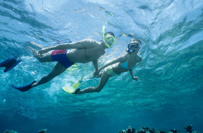 Waikiki Turtle Snorkel Adventure - An In-Depth Look at the Waikiki Turtle Snorkel Adventure