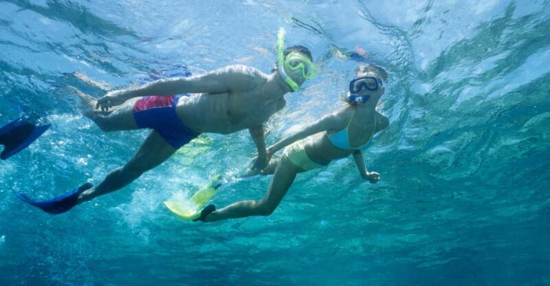 Waikiki Turtle Snorkel Adventure - Final Thoughts