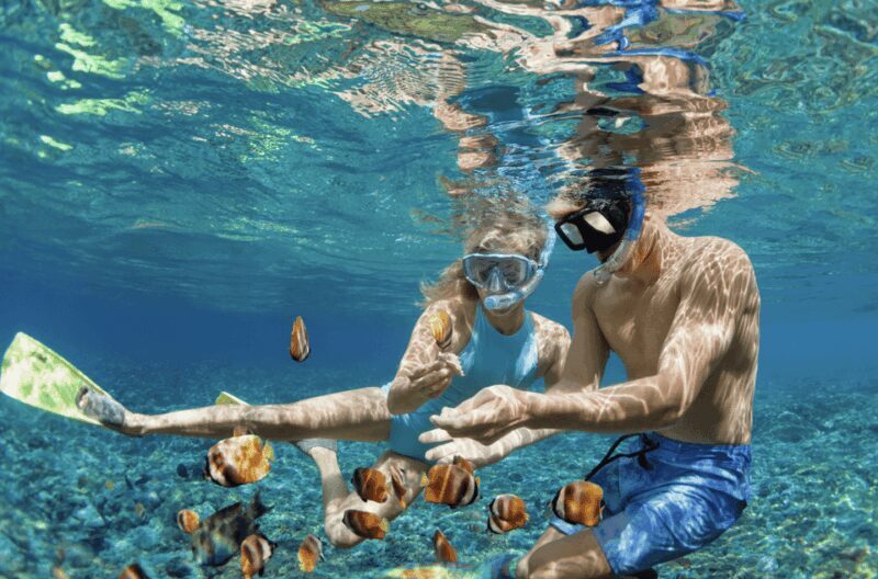 Waikiki Turtle Snorkel Adventure - FAQ