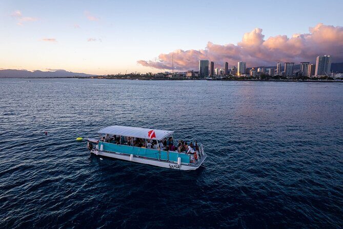 Waikiki Whale Watching Cruise - Group Size and Atmosphere