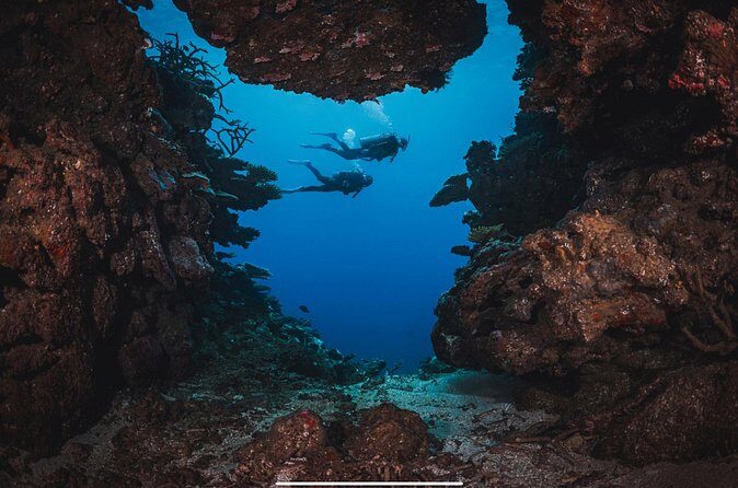 Waikikis Best Wreck And Reef Dive - Why Choose Uncle Kimo’s Over Other Operators?