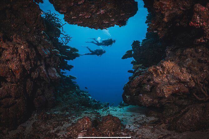 Waikikis Best Wreck And Reef Dive - Whats Included and Whats Not