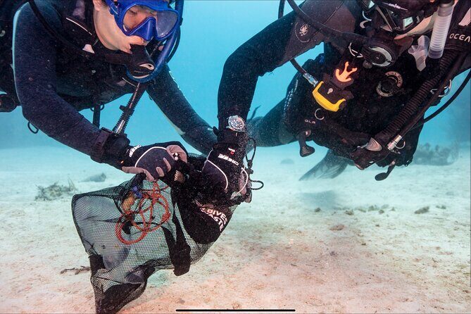 Waikikis Best Wreck And Reef Dive - The Experience from the Travelers Perspective