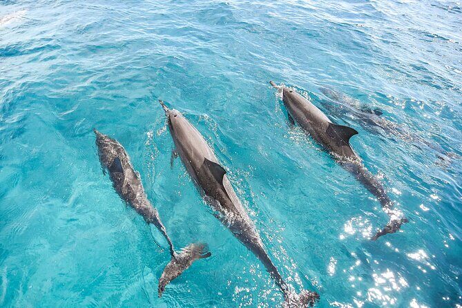 Waikiki's Premier Small Group Sunset Yacht + Tasting - FAQ