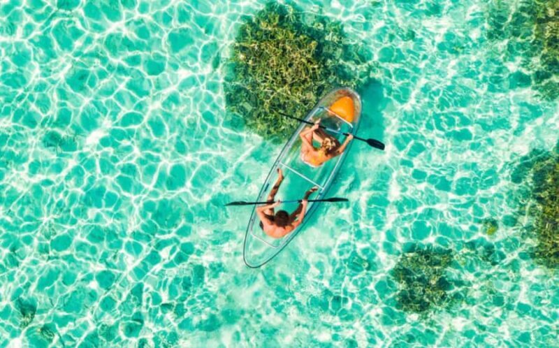 Waikk: Clear Kayak Rental with Safety Gear - How This Experience Compares