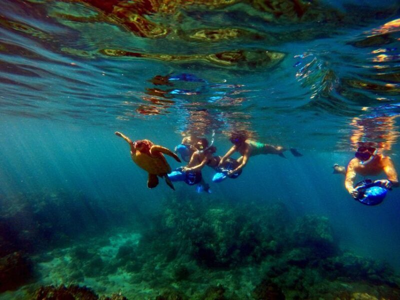 Wailea Beach: Guided Sea Scooter Snorkeling Tour - Practical Details and Value