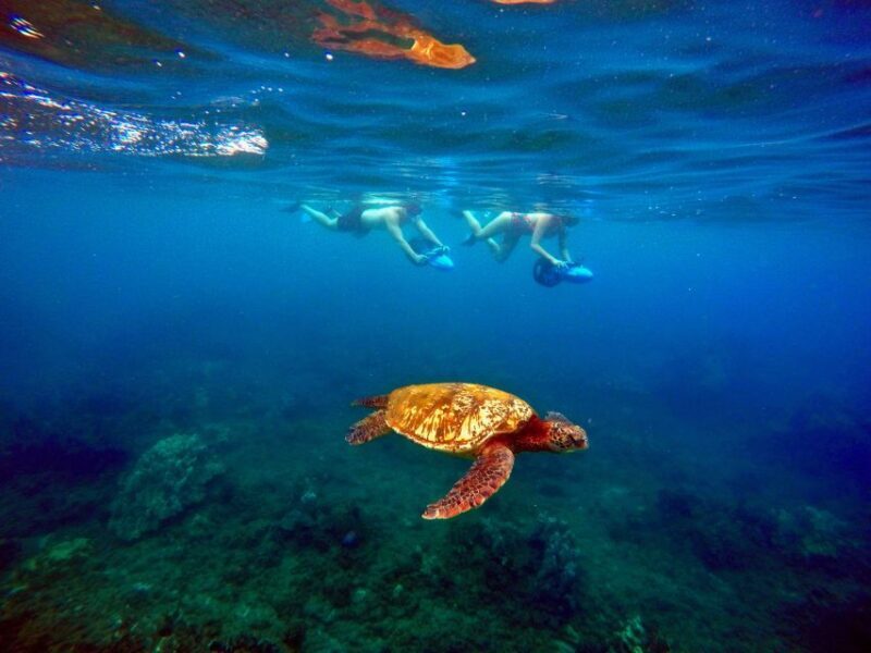 Wailea Beach: Guided Sea Scooter Snorkeling Tour - Who Should Book This Tour?