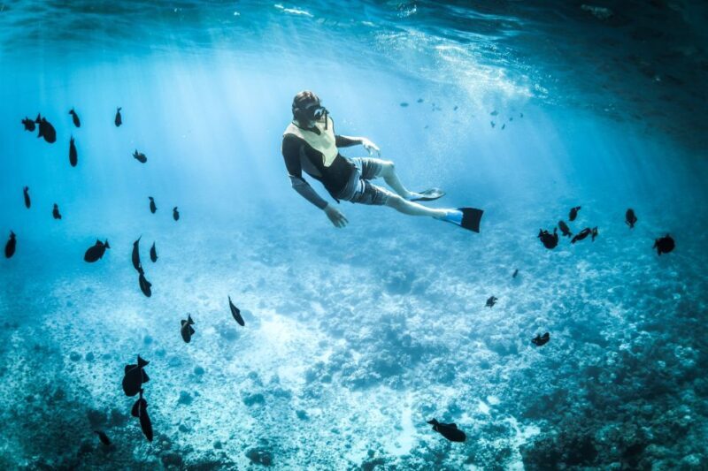 Wailea: Turtle Town Snorkeling Trip with Photo and Video - The Sum Up