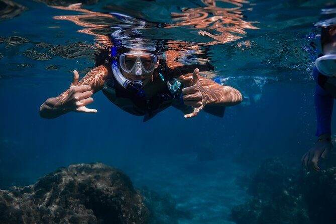 Wailea Wildlife Tour with Snorkeling - What Makes This Tour Stand Out?