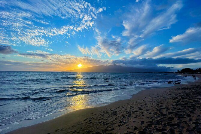 Wailea Wildlife Tour with Snorkeling - Practical Details and Tips