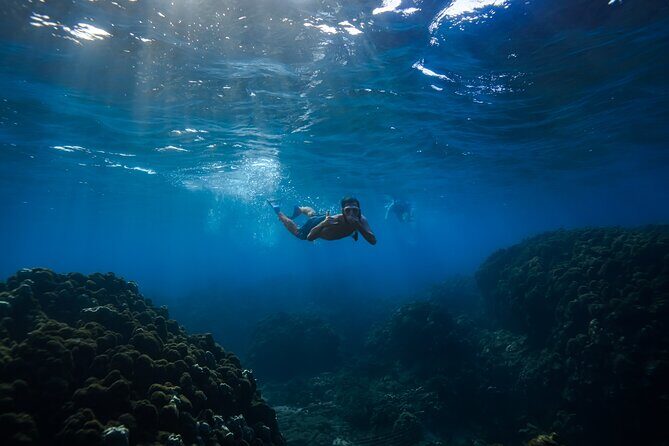 Wailea Wildlife Tour with Snorkeling - Who Should Consider This Tour?